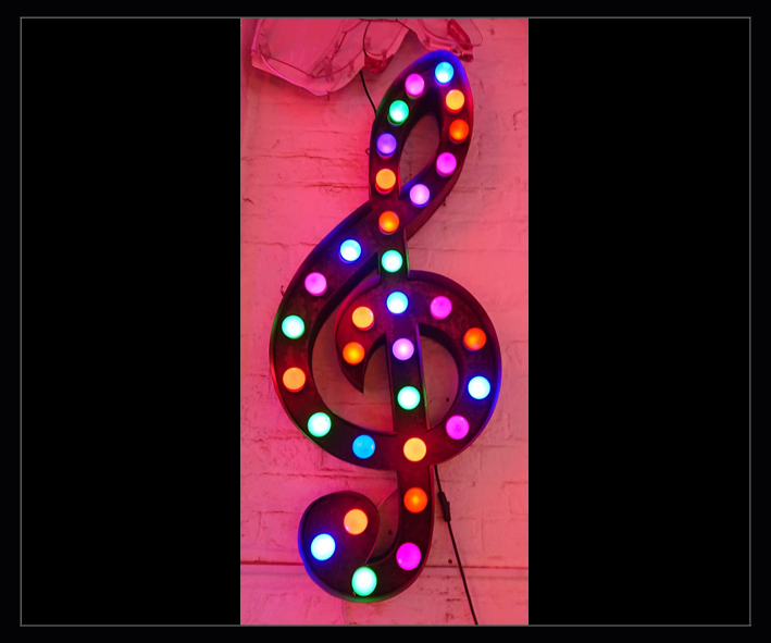 Neon Hire Signs Bulb